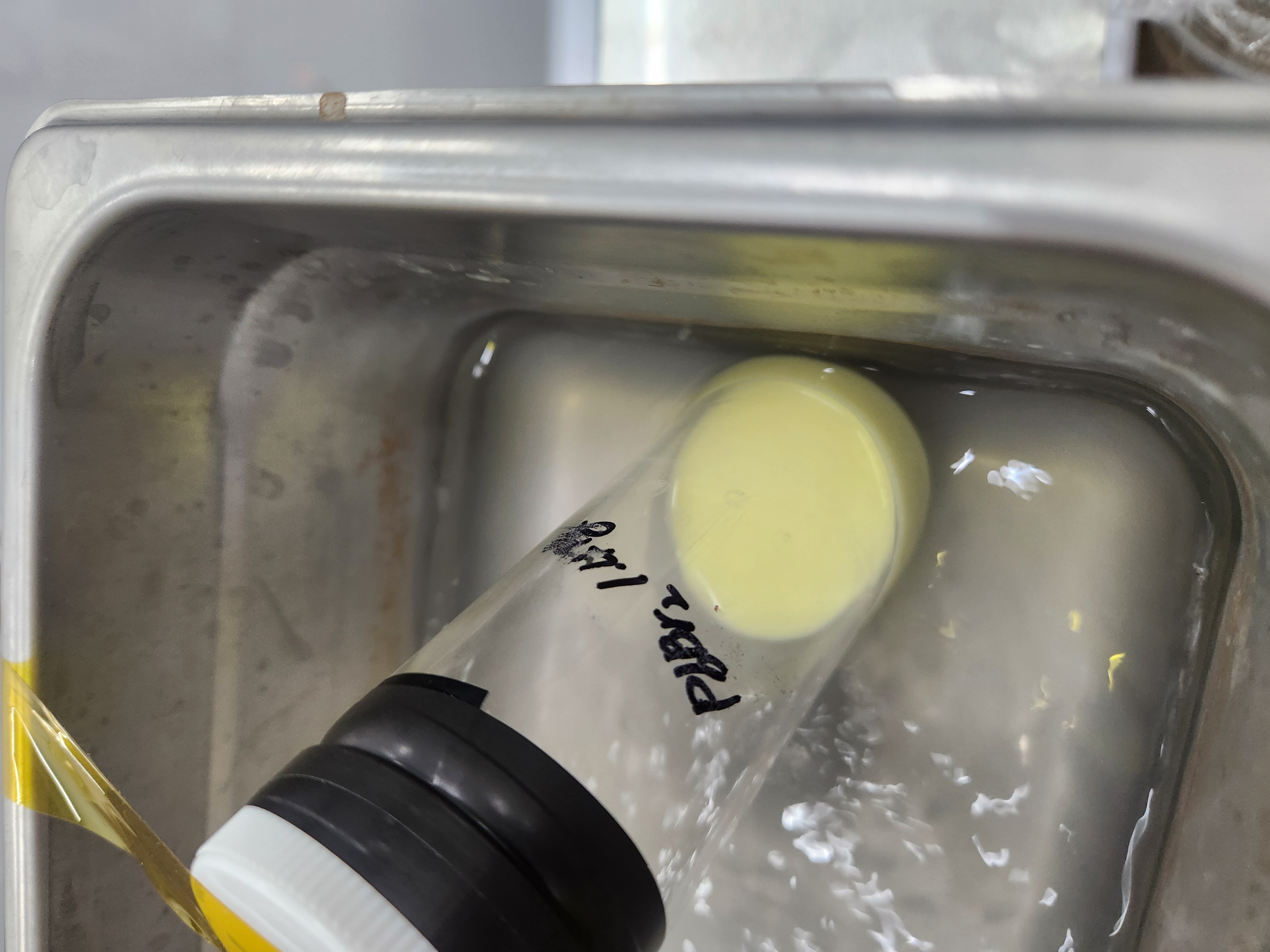 Celina's Dopamine Studio