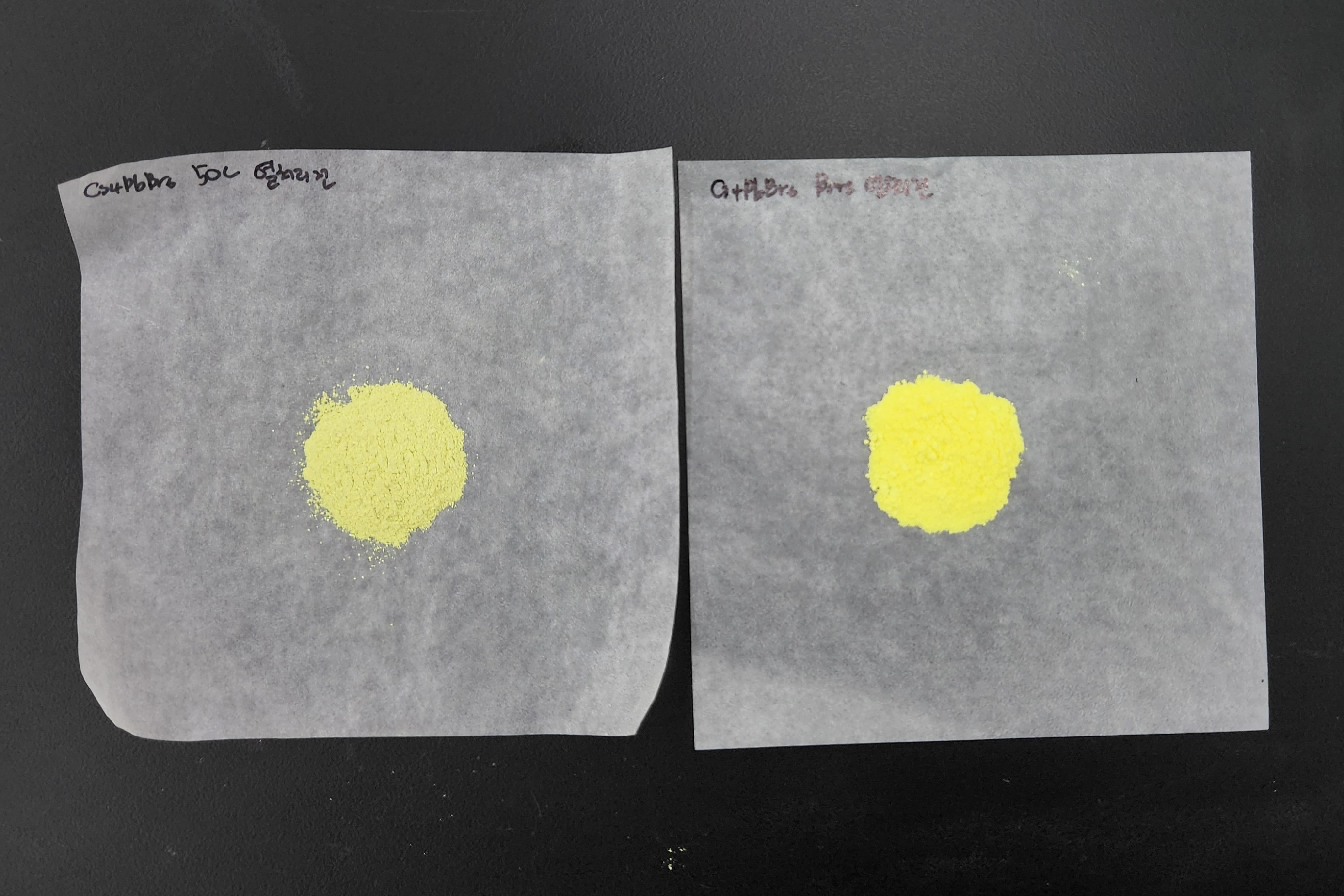 Celina's Dopamine Studio