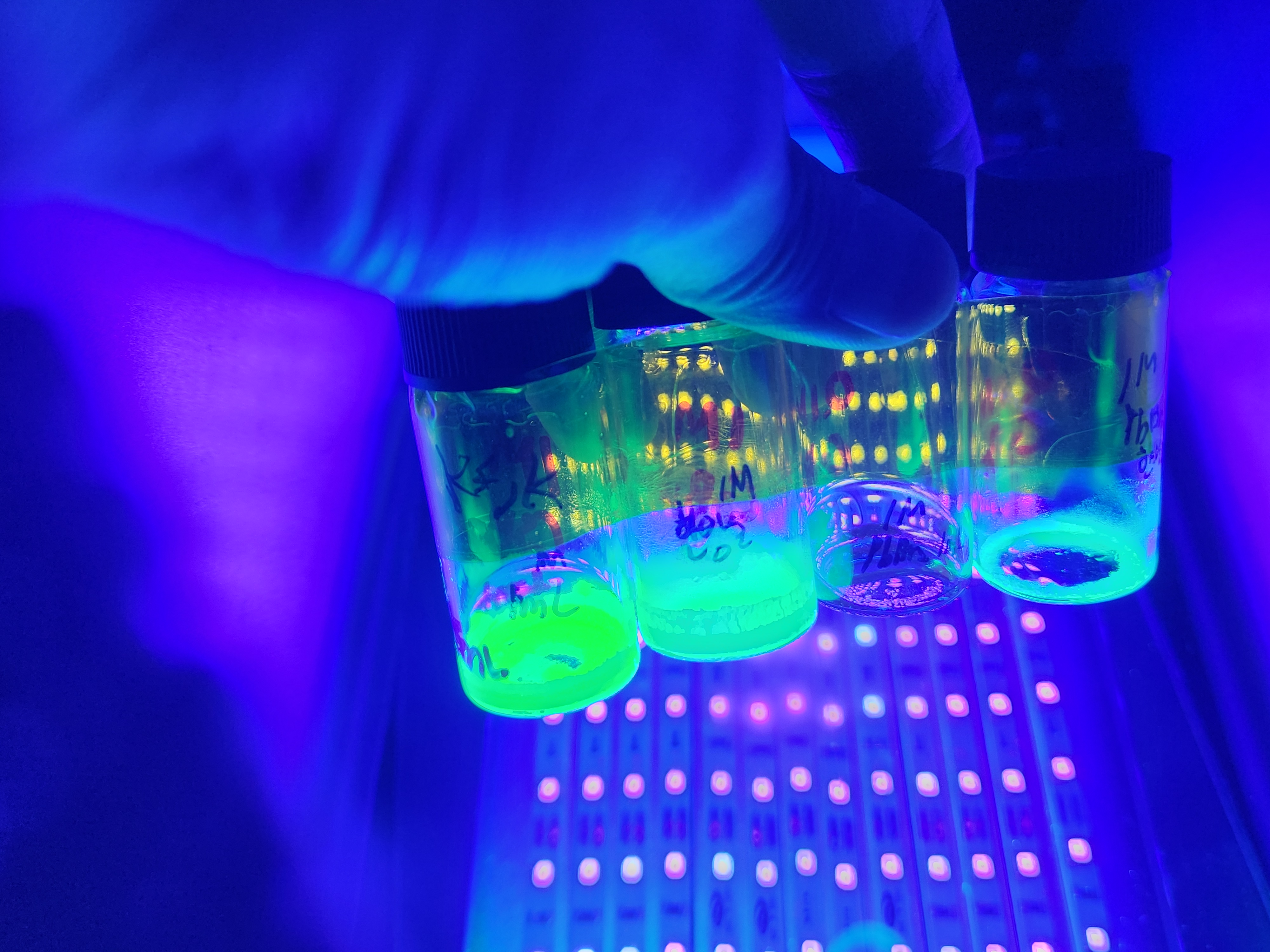 Celina's Dopamine Studio